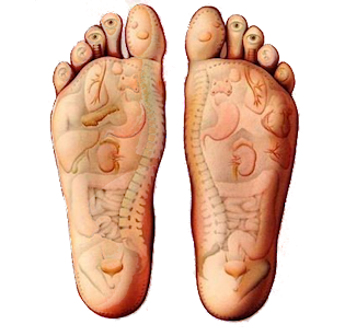 wat is met voetreflextherapie te behandelen - Voetreflex - Nannet Kabel